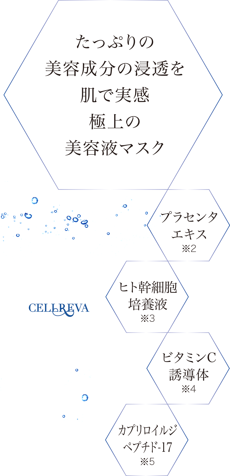 【公式】cellreva セルリヴァ